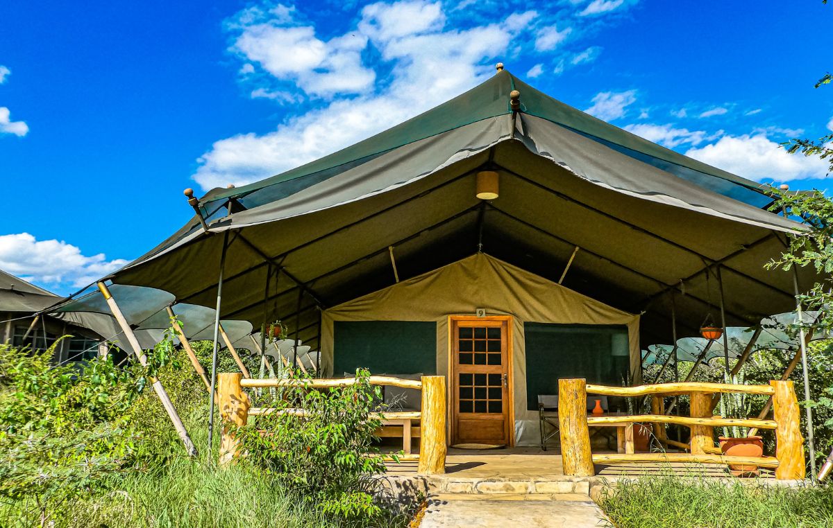 5 Midrange and Luxury lodges in Masai Mara for under $600 dollars per ...